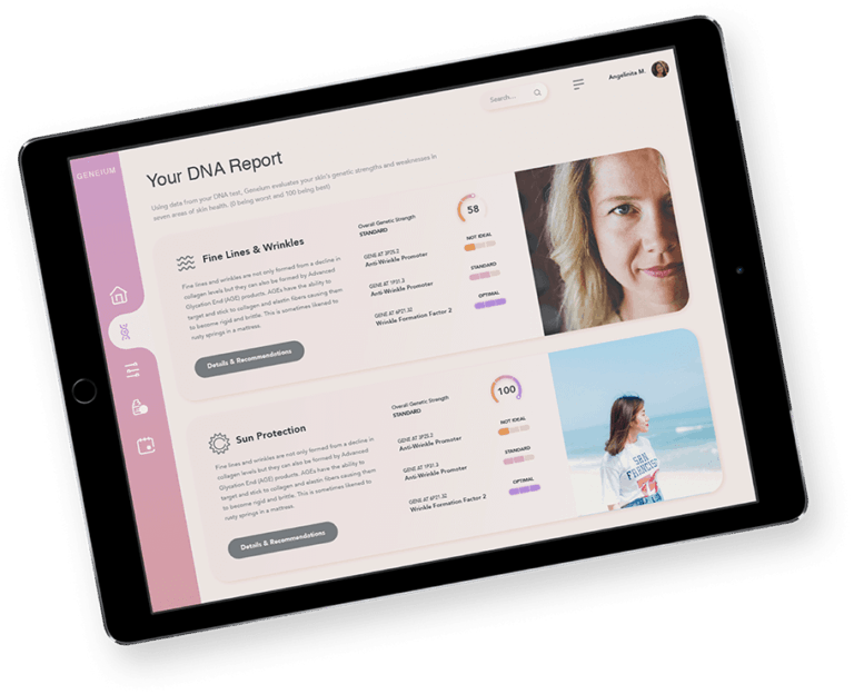 How to Build a Dashboard Web Application: A Guide for Your Website