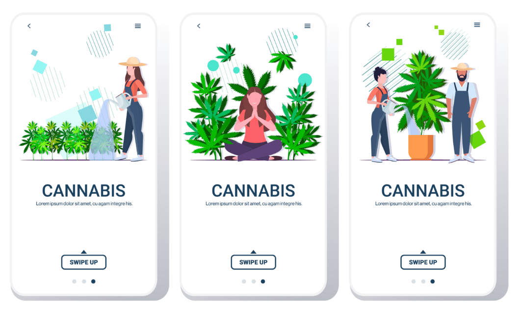 How to Make a Cannabis/Marijuana Delivery App in 2025