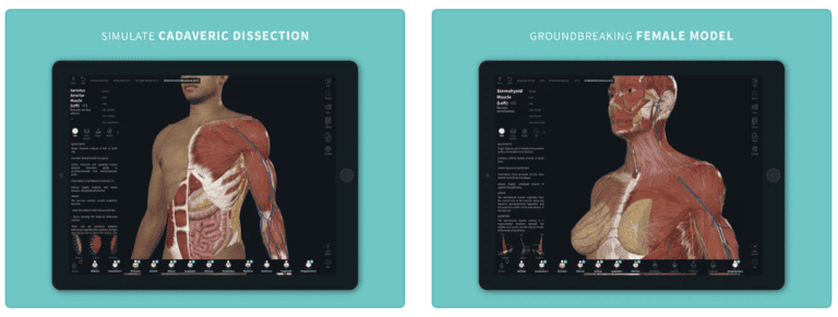 Healthcare App Design Guide: How to Improve Patient Experience
